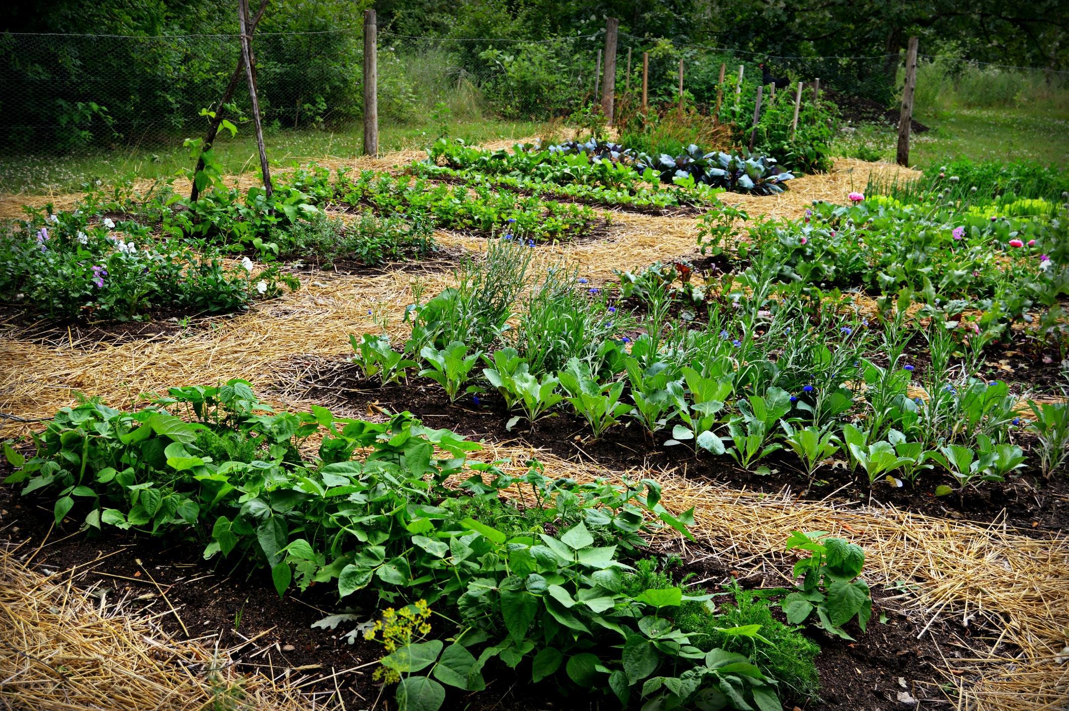 Découvrir la permaculture et ses principes de base - Miss Link Découvrir la permaculture et ses principes de base - Miss Link